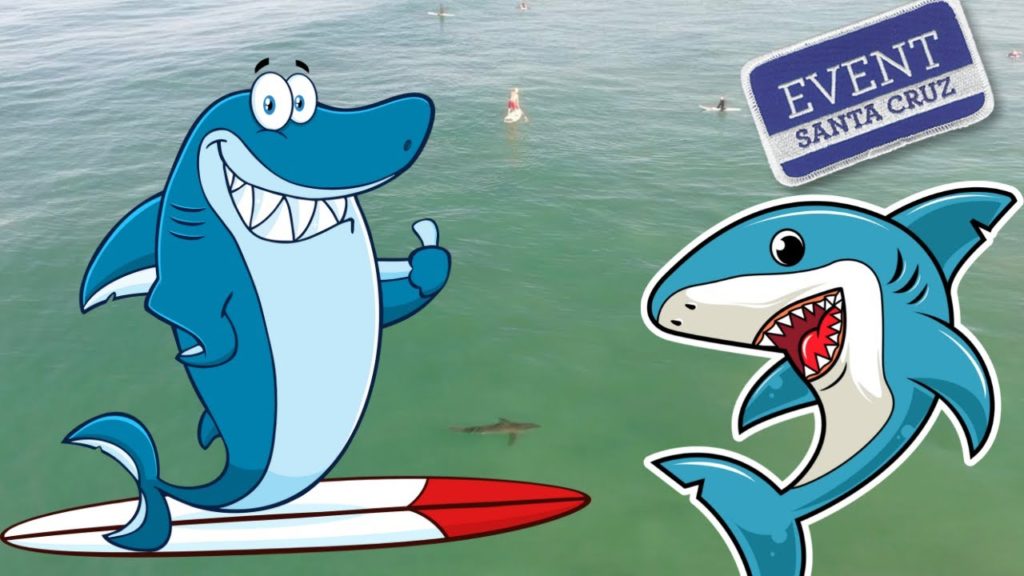 Surfing with a Great White Shark - Event Santa Cruz